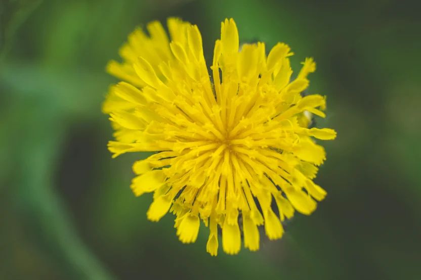 Vitamin D3 and K2 Side Effects: Safety and Key Interactions - Epsilon Life